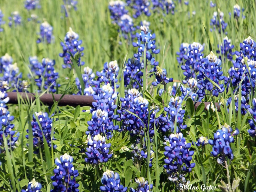 A MEANDER SCAR? WHAT’S THAT? | MOVING THE ANCIENT BOUNDARIES