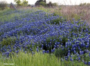 A MEANDER SCAR? WHAT’S THAT? | MOVING THE ANCIENT BOUNDARIES